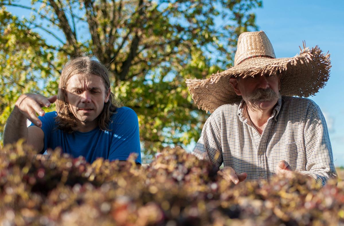 Chapul Farms | Steward