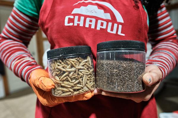 Property Acquisition For Chapul Farms - Chapul Farms | Steward