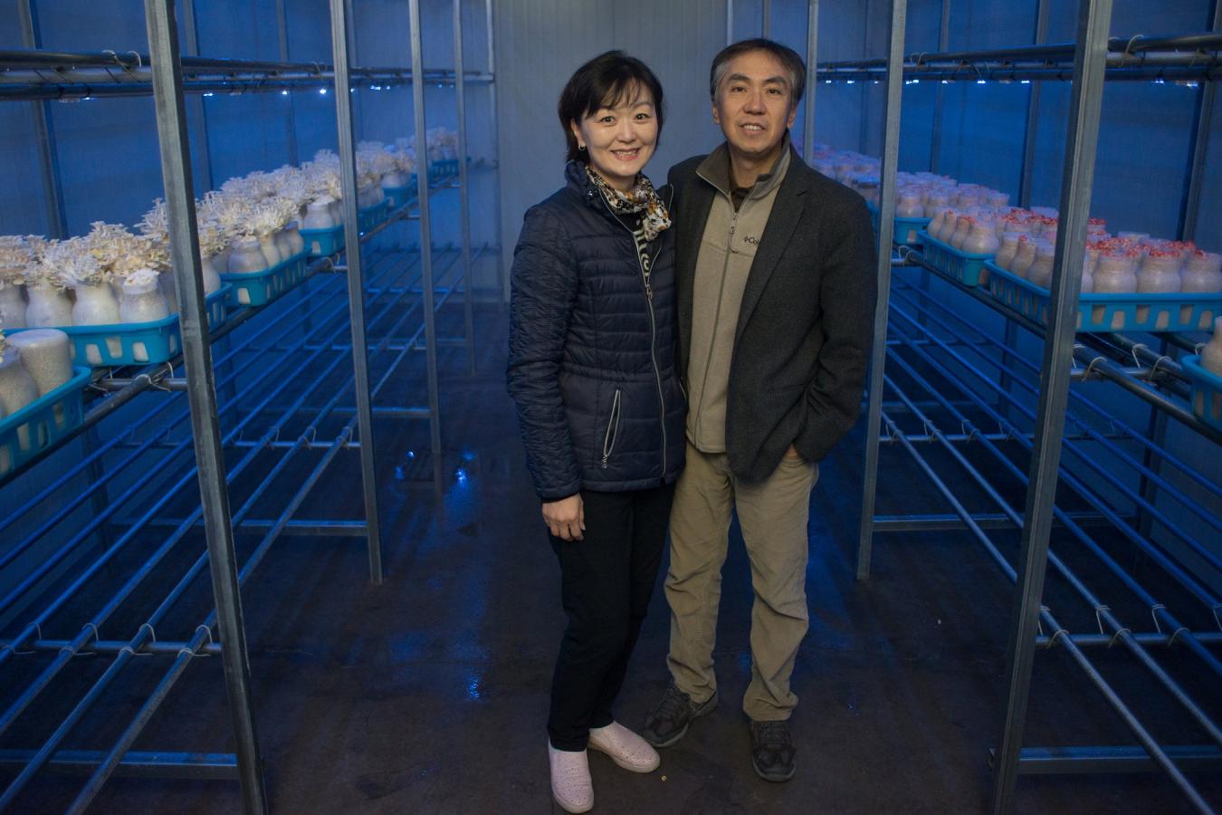 Shipping Container Mushroom Growing Facility - Green Box Mushrooms ...