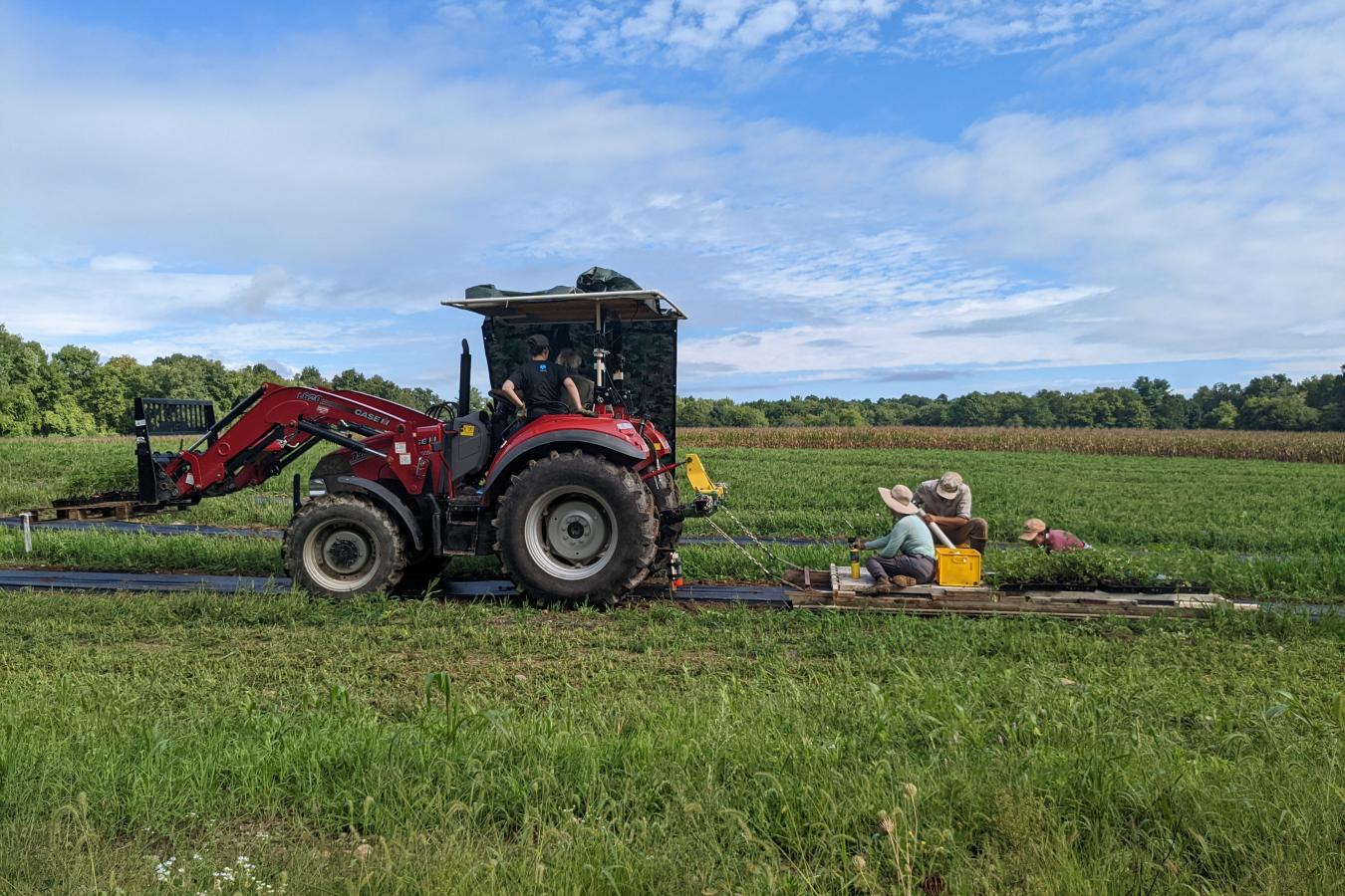 Agroforestry Equipment Purchase - Propagate | Steward